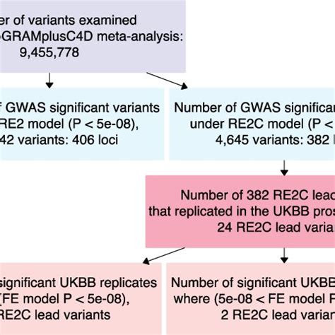 A Flowchart Summarizing Meta Analysis Genetic Association Results Under