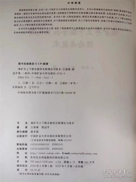 全新正版 煤矿井上下联合抽采瓦斯理论与技术 采煤 井上井下煤层瓦斯抽放书籍 中国矿业大学出版社 wuming 孔夫子旧书网