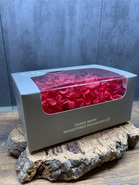 Стабілізована гортензія Premium 20 г колір Червоний купити ціна у Києві Львові Одесі