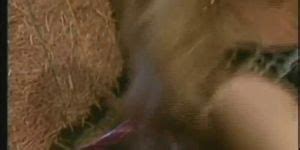 Baise Moi Scene Porn Videos