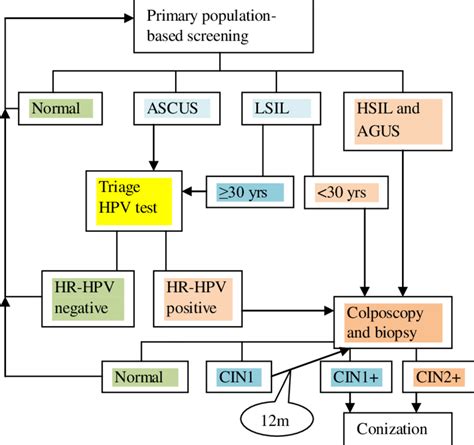 Suggested Flow Chart For Triage Hpv Testing Download Scientific Diagram