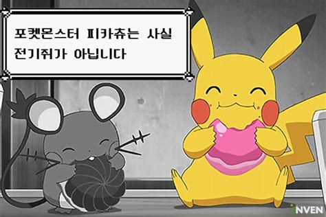 전기쥐가 아닙니다 개발자가 말하는 피카츄 탄생 비밀