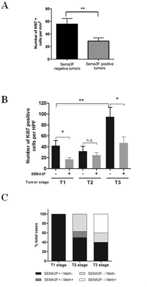 Semaphorin Plexin Signaling Pathway Involved In Axon Guidance Semantic Scholar