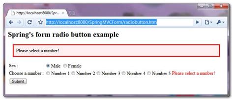 Spring Mvc Radiobutton And Radiobuttons Example