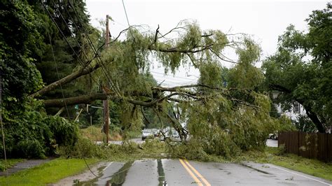 Ask An Expert What Are Key Priorities For Insurers Facing Escalating Catastrophe Losses Anziif