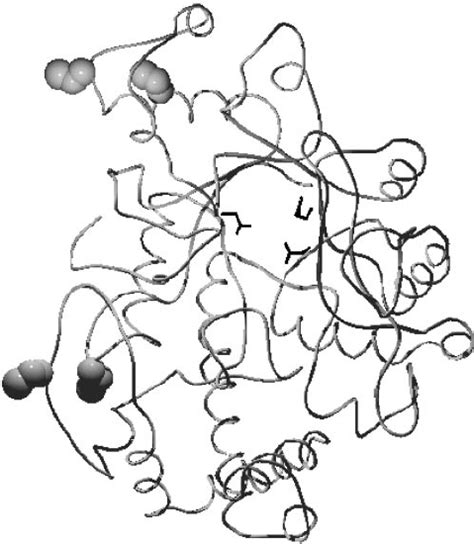 Schematic Representation Of Annotated Open Reading Frames In The P