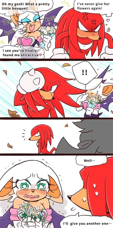 Pin De Flo En Sega Fotos Graciosas De Sonic Arte Erizo Ilusiones ópticas Divertidas