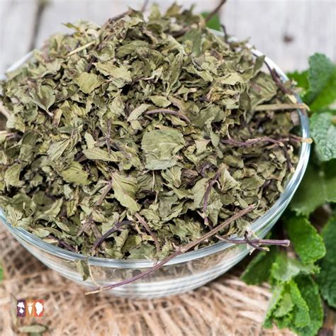 How To Dry Mint Leaves For Tea The Kitchen Garten