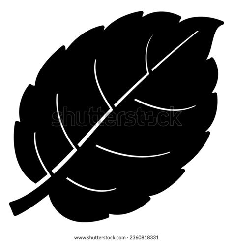 Jagged Edge Leaves Over 158 Royalty Free Licensable Stock Vectors