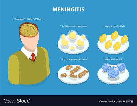 3d Isometric Flat Royalty Free Vector Image Vectorstock