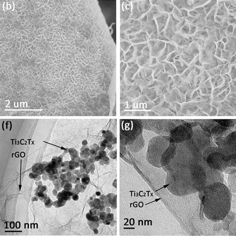 A D Sem Pictures Of Ti3c2t X Rgo At Different Magnification Rates Download Scientific