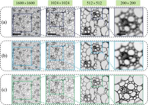 Graphics Processing Unit Gpu Aided Wavefront Based Autofocusing In