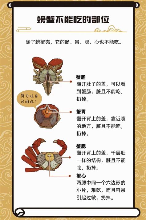 螃蟹解剖各部位图解 千图网