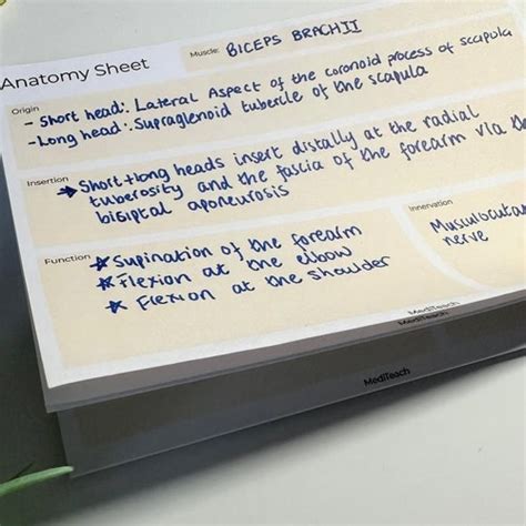 Anatomy Flashcard Notepad Medicine Physician Etsy