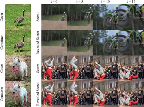 Figure 3 From Deep Cross Modal Steganography Using Neural Representations Semantic Scholar