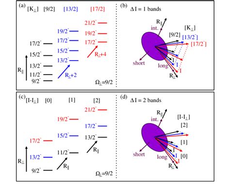 Color Online Panels A And B Illustrate Rotational Bands And The Download Scientific
