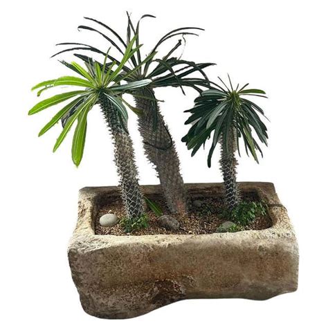 Pair Of Italian Limestone Planters With Base For Sale At 1stdibs