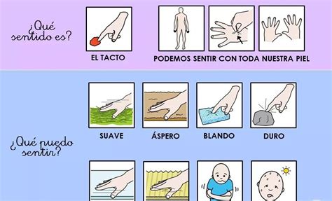 Primero Aguanaz El Sentido Del Tacto