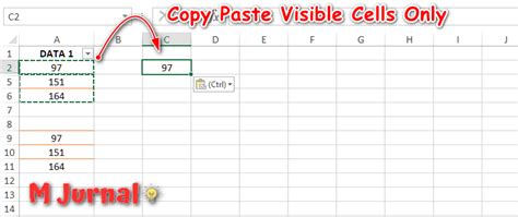 Cara Copy Paste Kolom Excel Yang Di Filter Hidden Cells M Jurnal