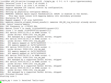 Dpdk Multi Process Support 多进程支持 L 4 5 N 4 Proc Typeprimary Csdn博客