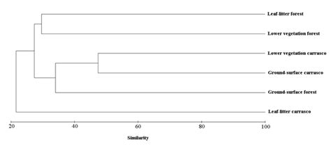 Similarity Dendrogram Bray Curtis Index Showed The Similarity Download Scientific Diagram