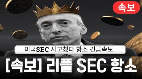 리플 코인 10분 전 속보 미국sec 리플에 항소했다 예상된 결과 향 후 대응전략은 리플목표가 리플호재 리플전망 리플코인목표가 리플코인호재 리플코인전망