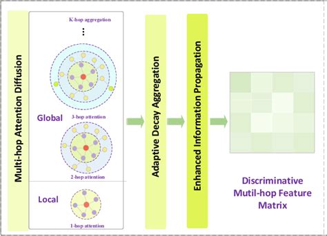 Groupface Imbalanced Age Estimation Based On Multi Hop Attention Graph