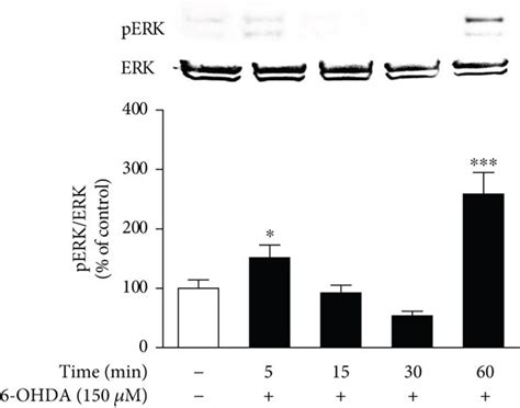 The Effect Of Np Pol Peptide On Erk 12 Kinase Activity A Np Pol
