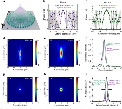 Figure 2 From Dual Wavelength Uv Visible Metalens For Multispectral Photoacoustic Microscopy A