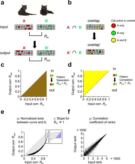 Quantitative Analysis Of Pattern Separation In Neuronal Networks A B Download Scientific