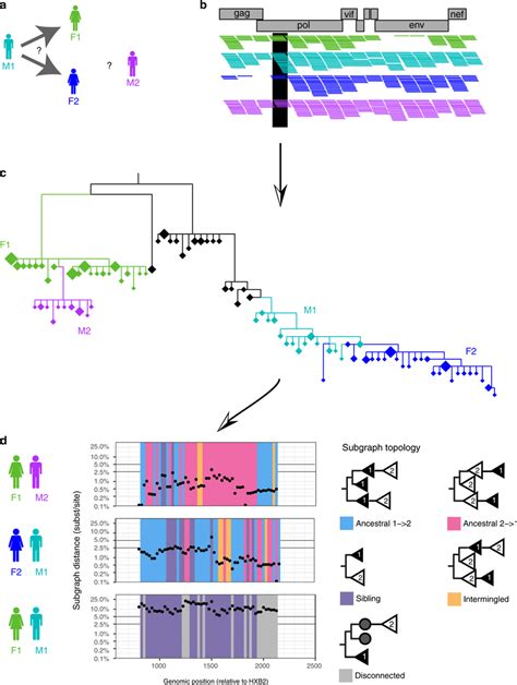 Inferring The Direction Of Transmission From Hiv 1 Deep Sequence Data