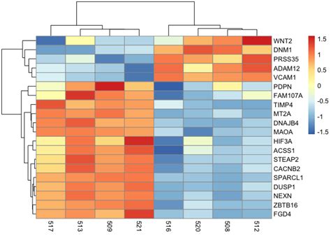 Lesson5 Visualizing Clusters With Heatmap And Dendrogram Data Visualization With R