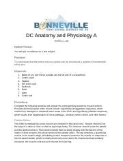 Copy Of Reflex Lab DC Anatomy And Physiology A Reflex Lab DIRECTIONS You Will Test Out