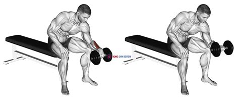 Dumbbell One Arm Revers Wrist Curl Home Gym Review