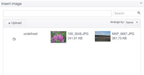 Image Rails 4 Kendo Ui Imagebrowser Successful Upload But Undefined