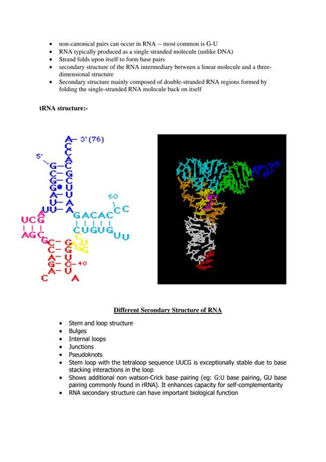 SOLUTION Rna Secondary Structure Prediction Studypool