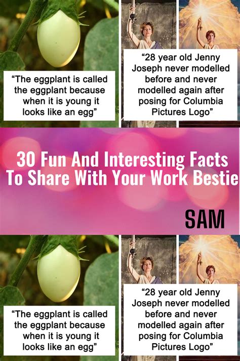 30 Fun And Interesting Facts To Share With Your Work Bestie Artofit