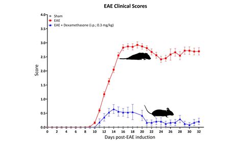 Eae Models Of Multiple Sclerosis Ms Biospective