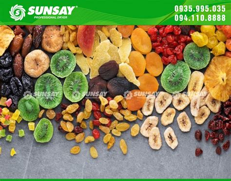 The Convection Drying Process In The Freeze Dryer