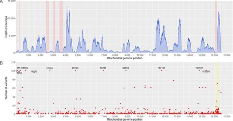 A Averaged Depth Of Coverage Doc At Each Position Across The Whole