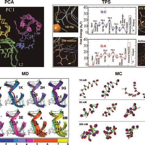 Illustrations Of Various Sampling Methods Download Scientific Diagram