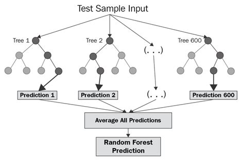 diving into the deep learning random forest algorithm