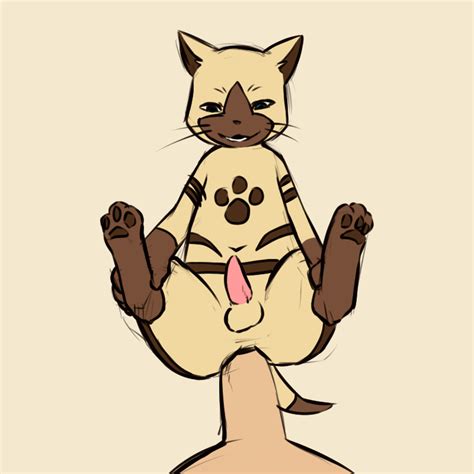 Rule 34 Anal Anal Sex Animated Anthro Aogami Balls Bottomless Bulge