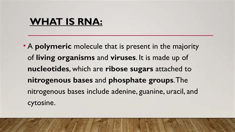 Structure And Biological Properties Of Rna Pptx
