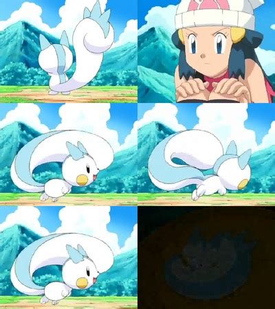 Swfchan Spinnin Pachirisu Swf Info Swfchan Spinnin Pachirisu Swf Info