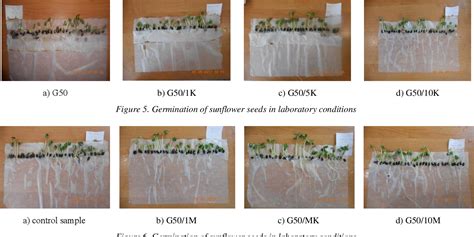 Figure 5 From Encapsulation Of Oil Seeds As A Safe System For The Application Of Non Toxic Plant