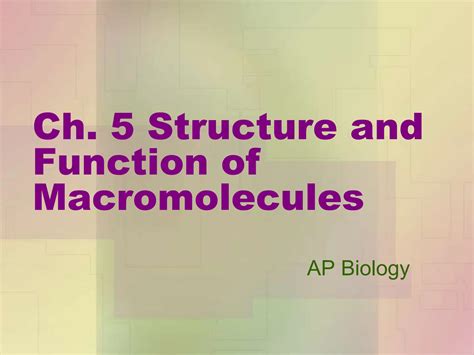 Ap Bio Macromolecules Chapter 5 Review Ppt