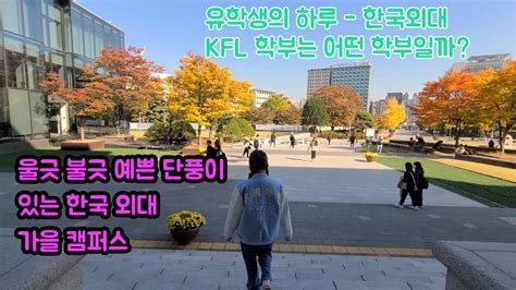 한국 외대 유학생의 Vlog Kfl 학부는 어떤 학부일까 Kfl학부 소개 영상 한국어 자막 영어 자막 Youtube
