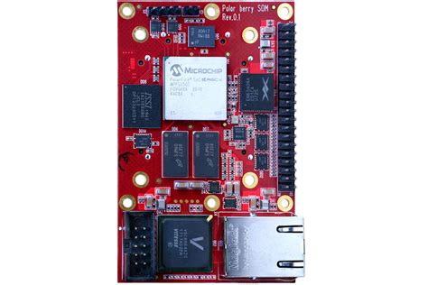 Polarberry Fpgarisc Platform