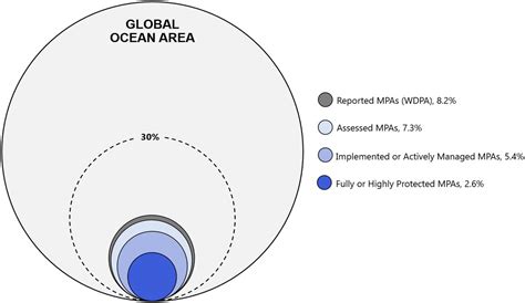 Article Summaries Reef Resilience